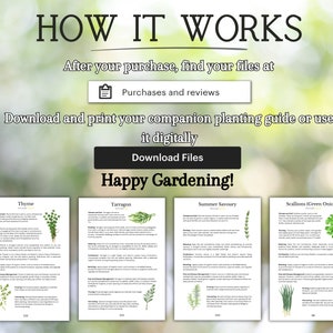 Complete 2024 Herb Garden Care Guide Gardening Book Homestead Gift ...