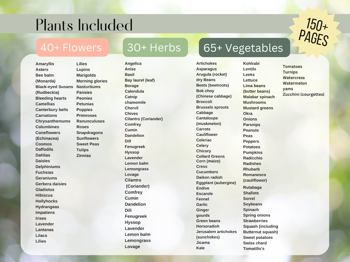 2024 Ultimate Companion Planting Guide New Garden Guide Gardener ...