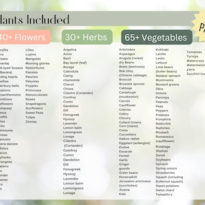 2024 Ultimate Companion Planting Guide New Garden Guide Gardener ...