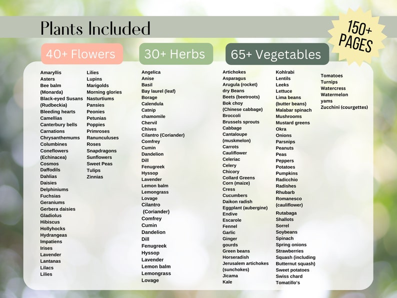 2024 Ultimate Companion Planting Guide New Garden Guide Gardener ...