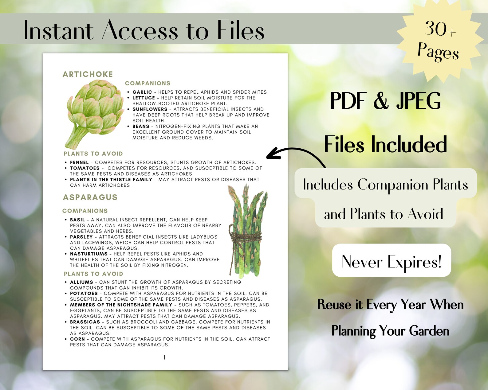 Companion Planting Guide Garden Planning Chart Companion Plants ...