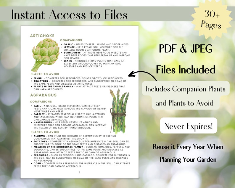 Companion Planting Guide Garden Planning Chart Companion Plants ...