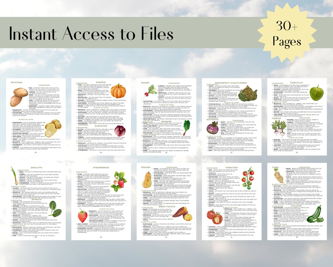 2024 Companion Planting Guide Garden Planning Chart Companion Plant ...