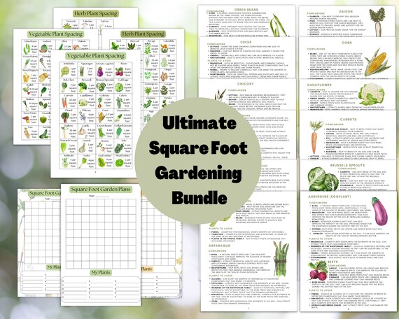 Square Foot Vegetable Garden Layout