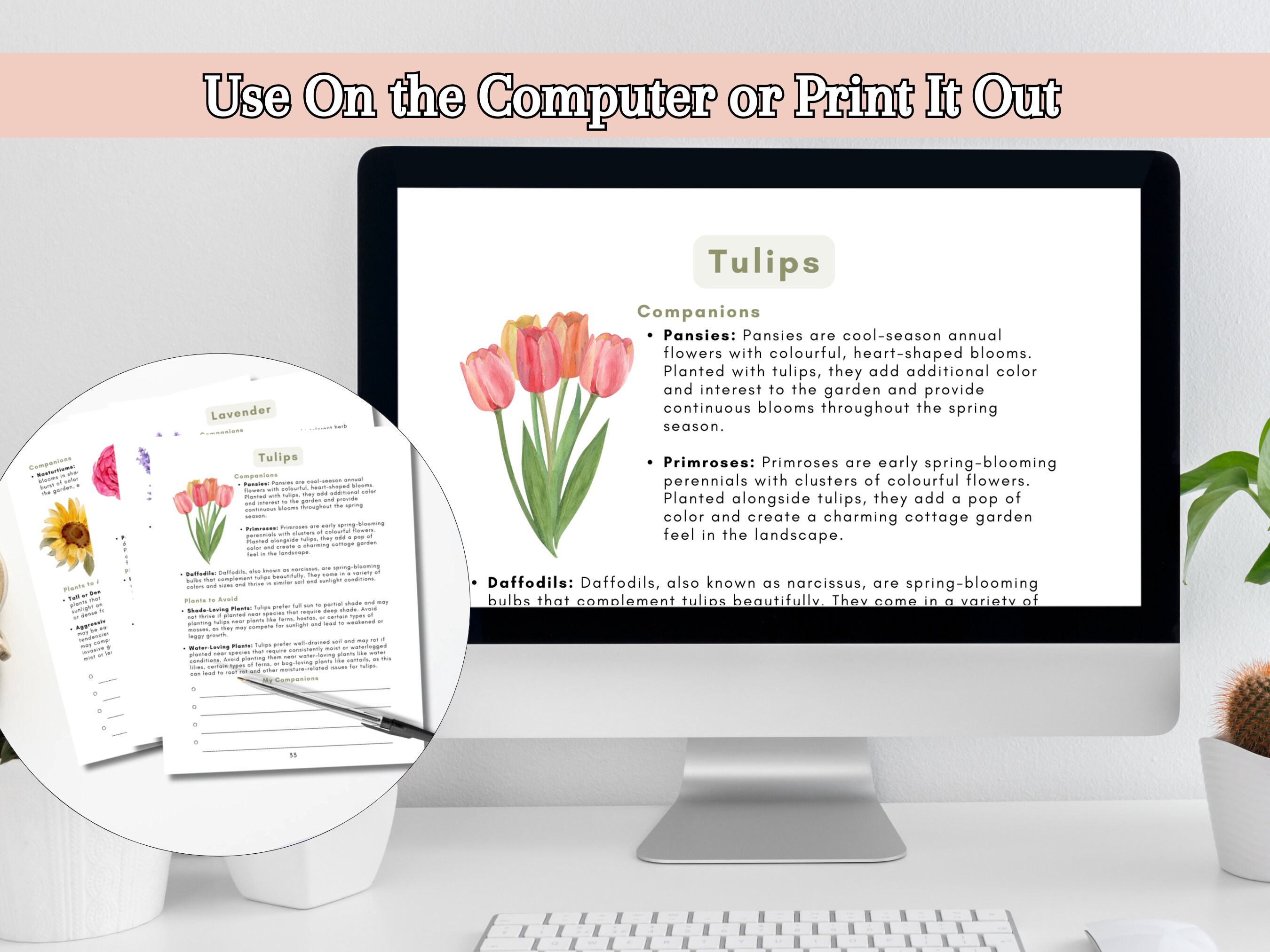 Complete 2024 Flower Companion Planting Guide New Gardener Cheatsheet ...