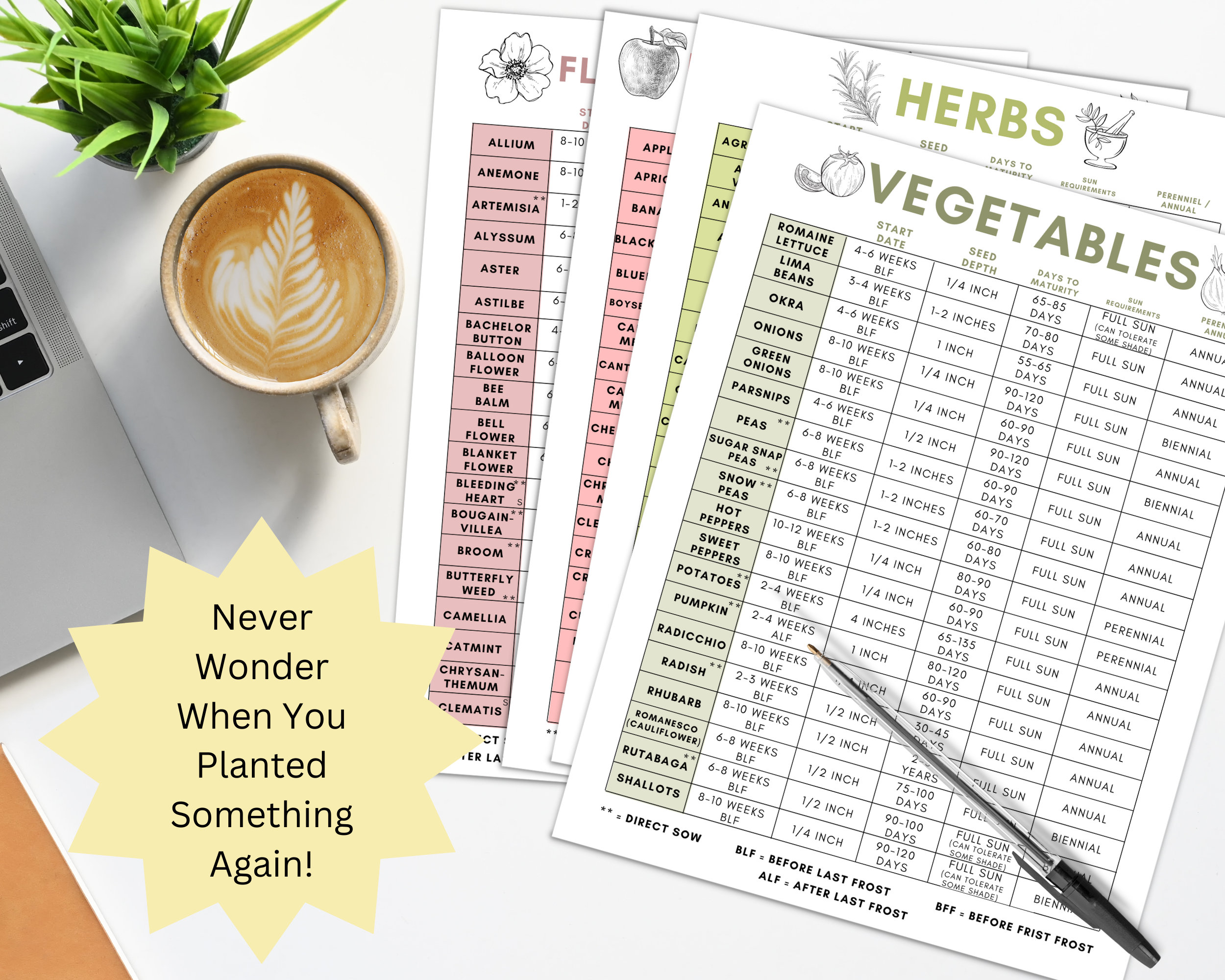 Whole Garden Seed Starting Cheat Sheet Homesteading Seed Sowing Guide ...