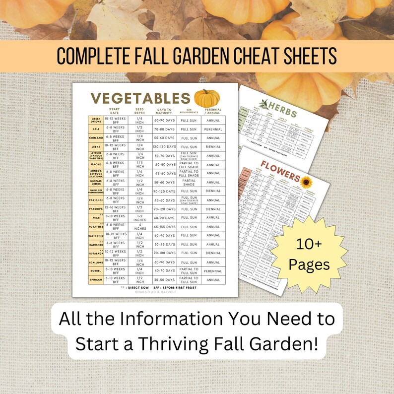 Fall Garden Seed Starting Cheat Sheet 2023 Fall Guide New Gardner Gift Fall Harvest Cheatsheet ...