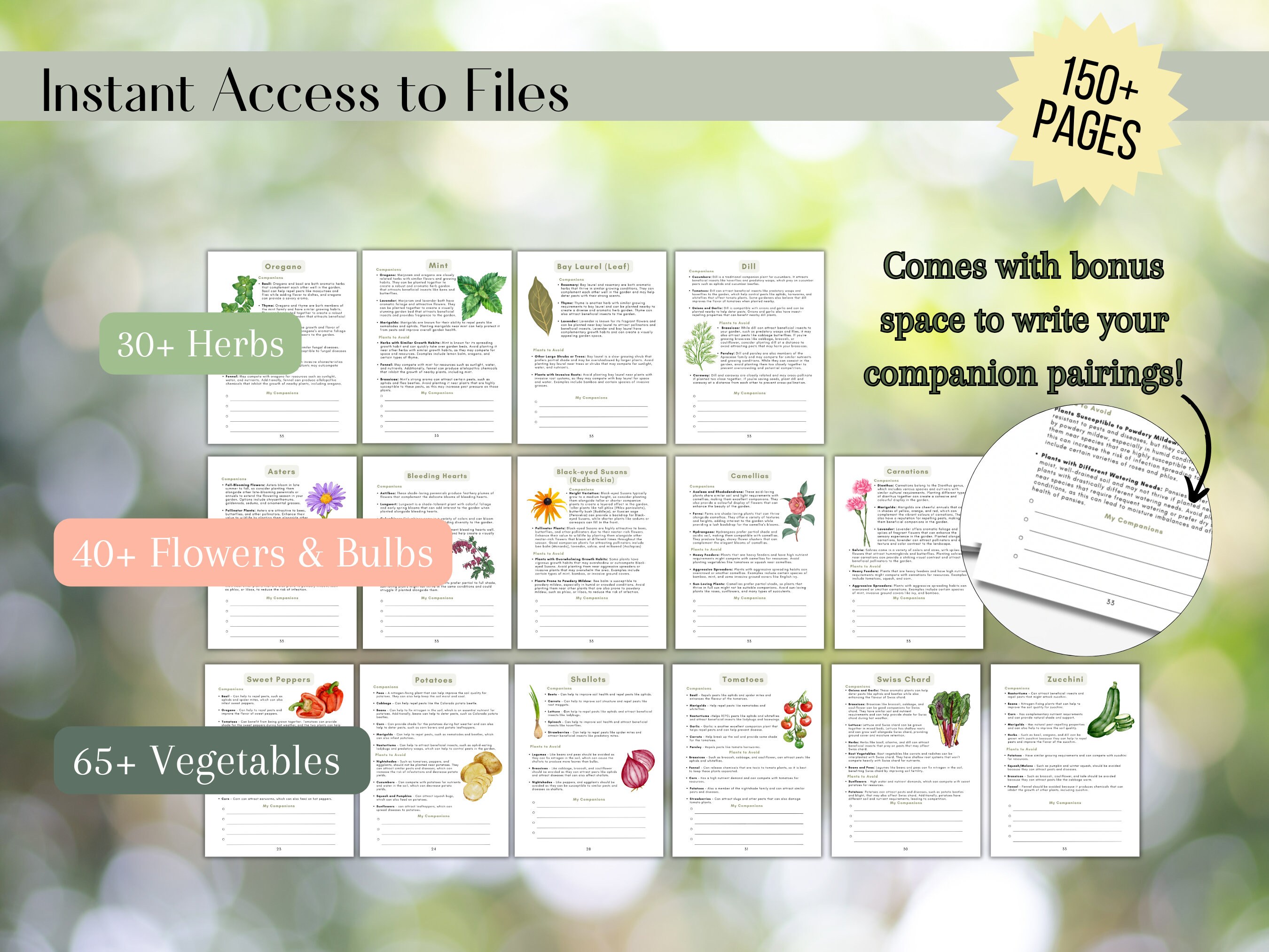 2024 Ultimate Companion Planting Guide New Garden Guide Gardener ...