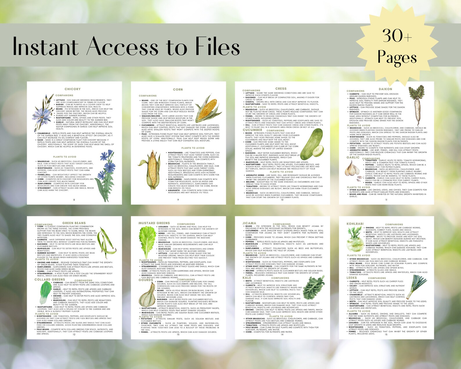 Companion Planting Guide Garden Planning Chart Companion Plants ...