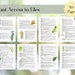Companion Planting Guide Garden Planning Chart Companion Plants ...