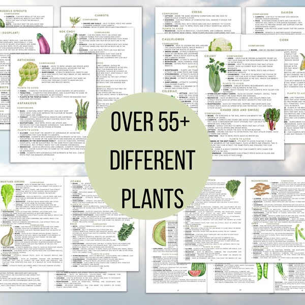 Companion Planting Guide - Etsy