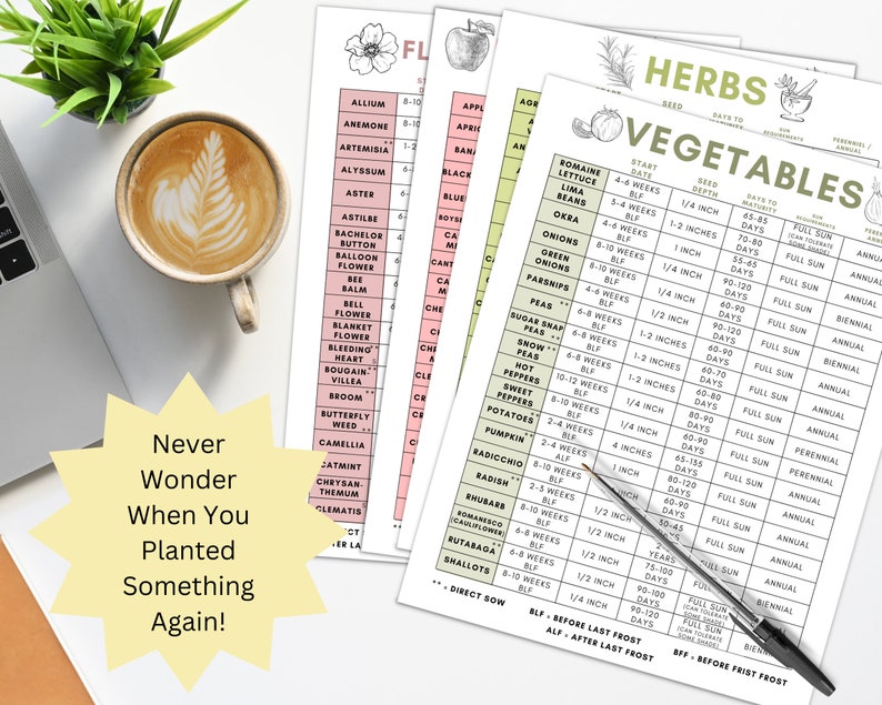 Whole Garden Seed Starting Cheat Sheet Homesteading Seed Sowing Guide ...