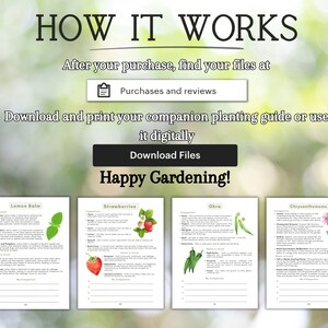 2024 Ultimate Companion Planting Guide New Garden Guide Gardener ...