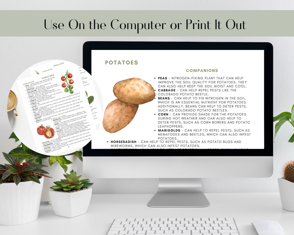 2024 Companion Planting Guide Garden Planning Chart Companion Plant ...