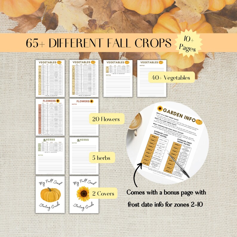 Fall Garden Seed Starting Cheat Sheet 2023 Fall Guide New Gardner Gift Fall Harvest Cheatsheet ...