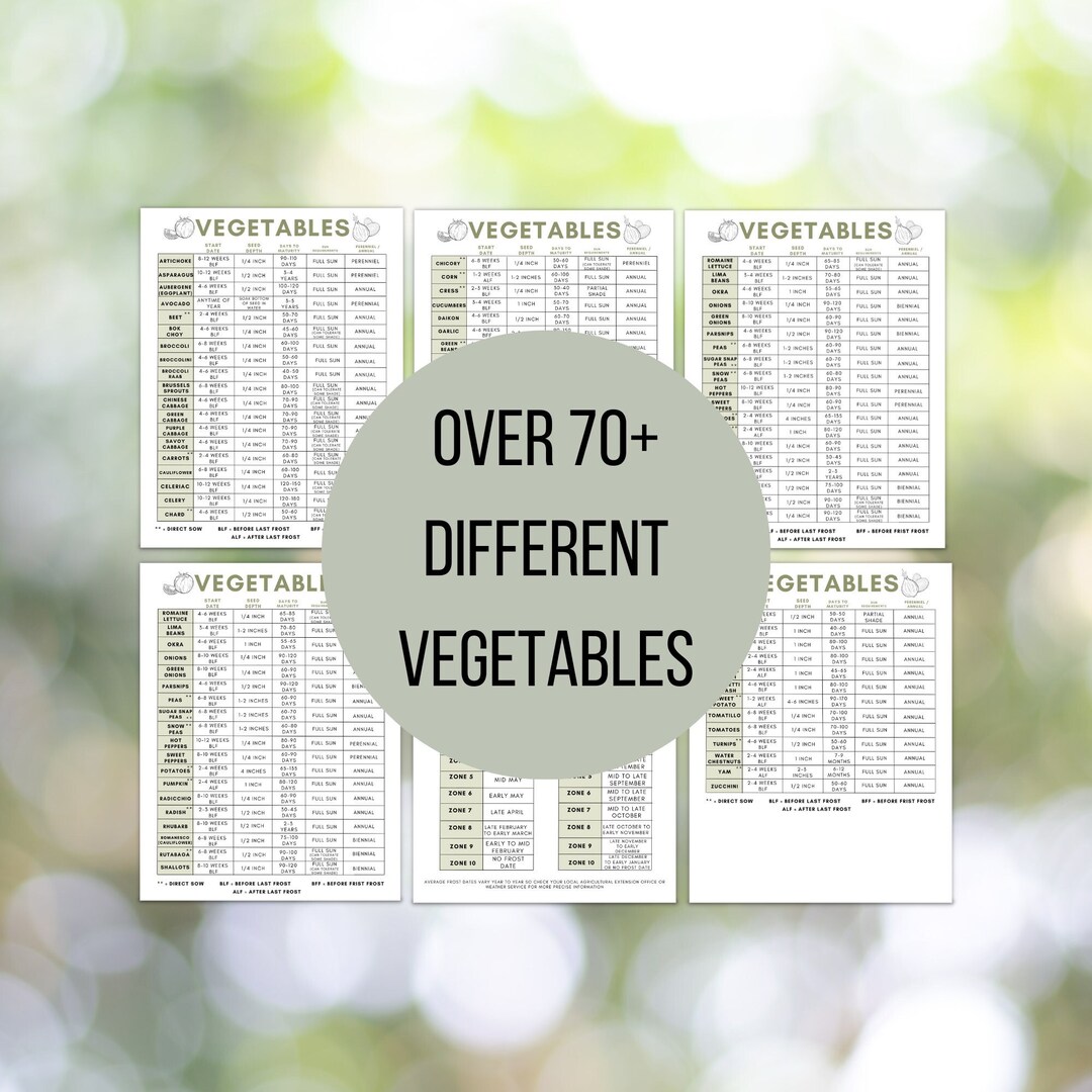 2023 Vegetable Seed Starting Cheat Sheet Guide Veggie Garden Planner ...