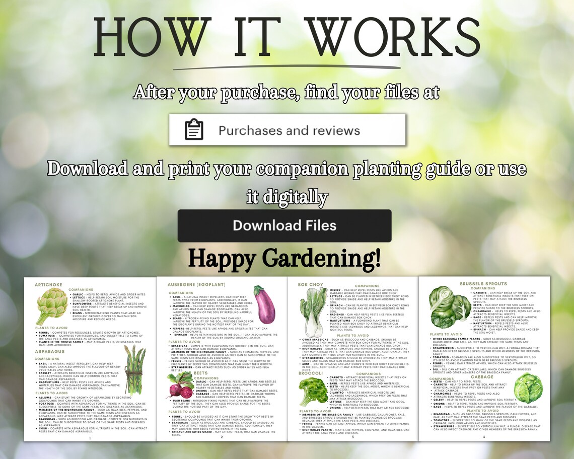 Companion Planting Guide Garden Planning Chart Companion Plants ...