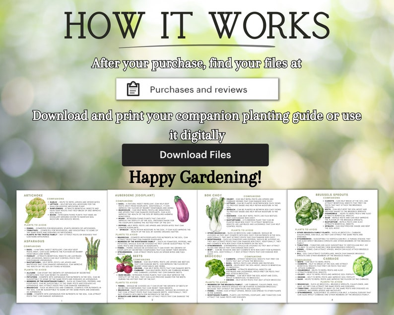 Companion Planting Guide Garden Planning Chart Companion Plants ...