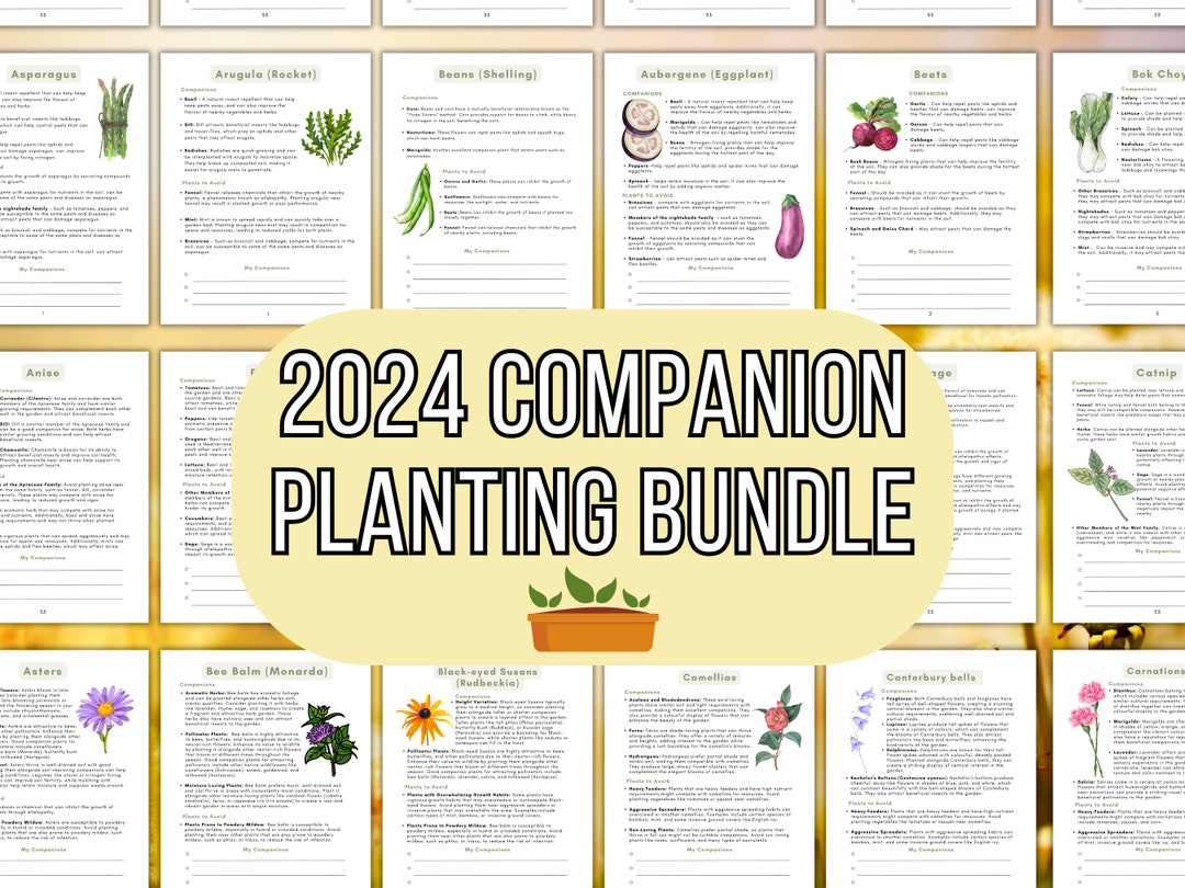 2024 Ultimate Companion Planting Guide New Garden Guide Gardener ...