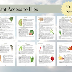 2024 Companion Planting Guide Garden Planning Chart Companion Plant ...