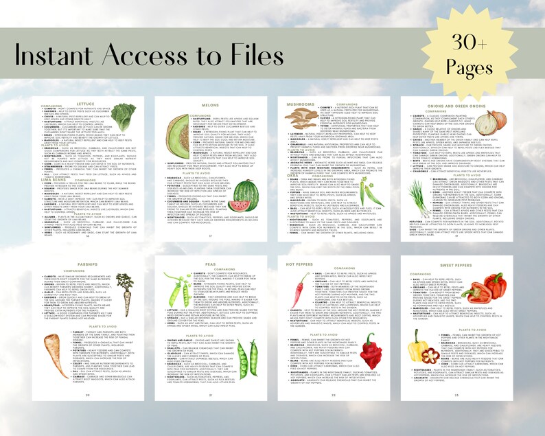 2024 Companion Planting Guide Garden Planning Chart Companion Plant ...