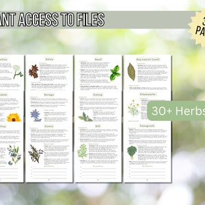 Complete 2024 Herb Garden Care Guide Gardening Book Homestead Gift ...