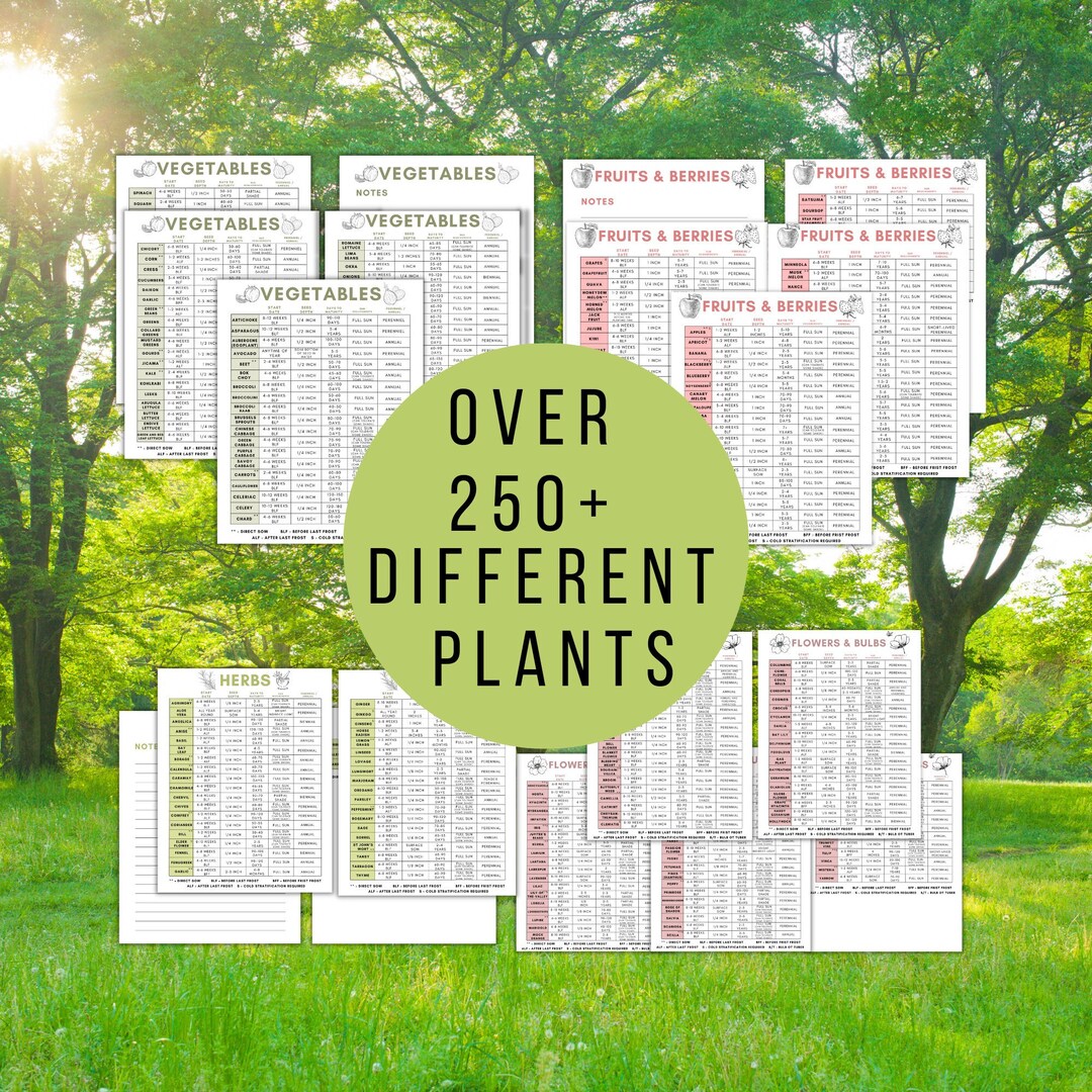 Complete Garden Seed Starting Cheat Sheet Homesteading Seed Sowing ...