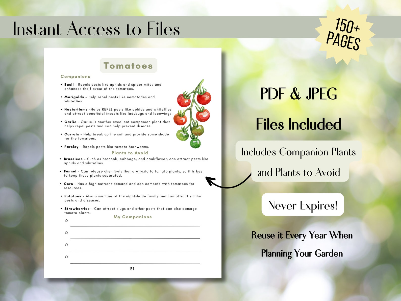 2024 Ultimate Companion Planting Guide New Garden Guide Gardener ...