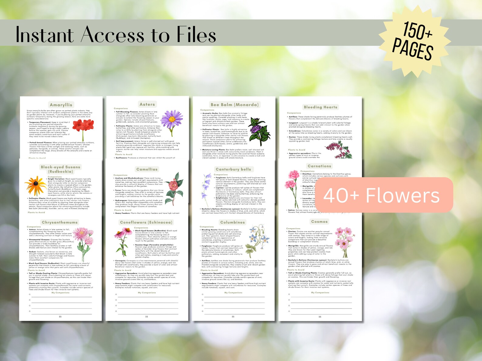 2024 Ultimate Companion Planting Guide New Garden Guide Gardener ...