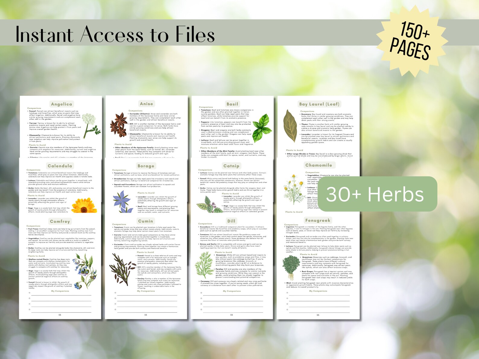 2024 Ultimate Companion Planting Guide New Garden Guide Gardener ...