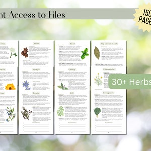 2024 Ultimate Companion Planting Guide New Garden Guide Gardener ...