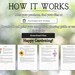 Complete 2024 Flower Companion Planting Guide New Gardener Cheatsheet ...
