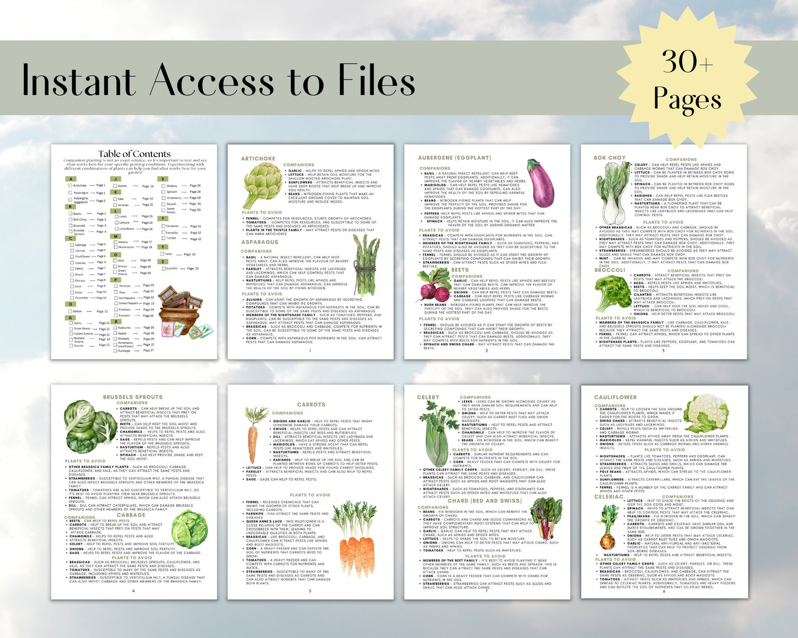 2024 Companion Planting Guide Garden Planning Chart Companion Plant ...