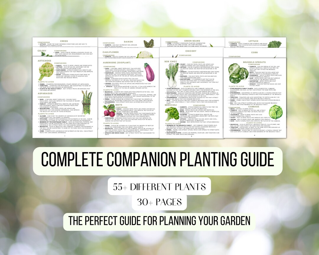 Companion Planting Guide Garden Planning Chart Companion Plants ...
