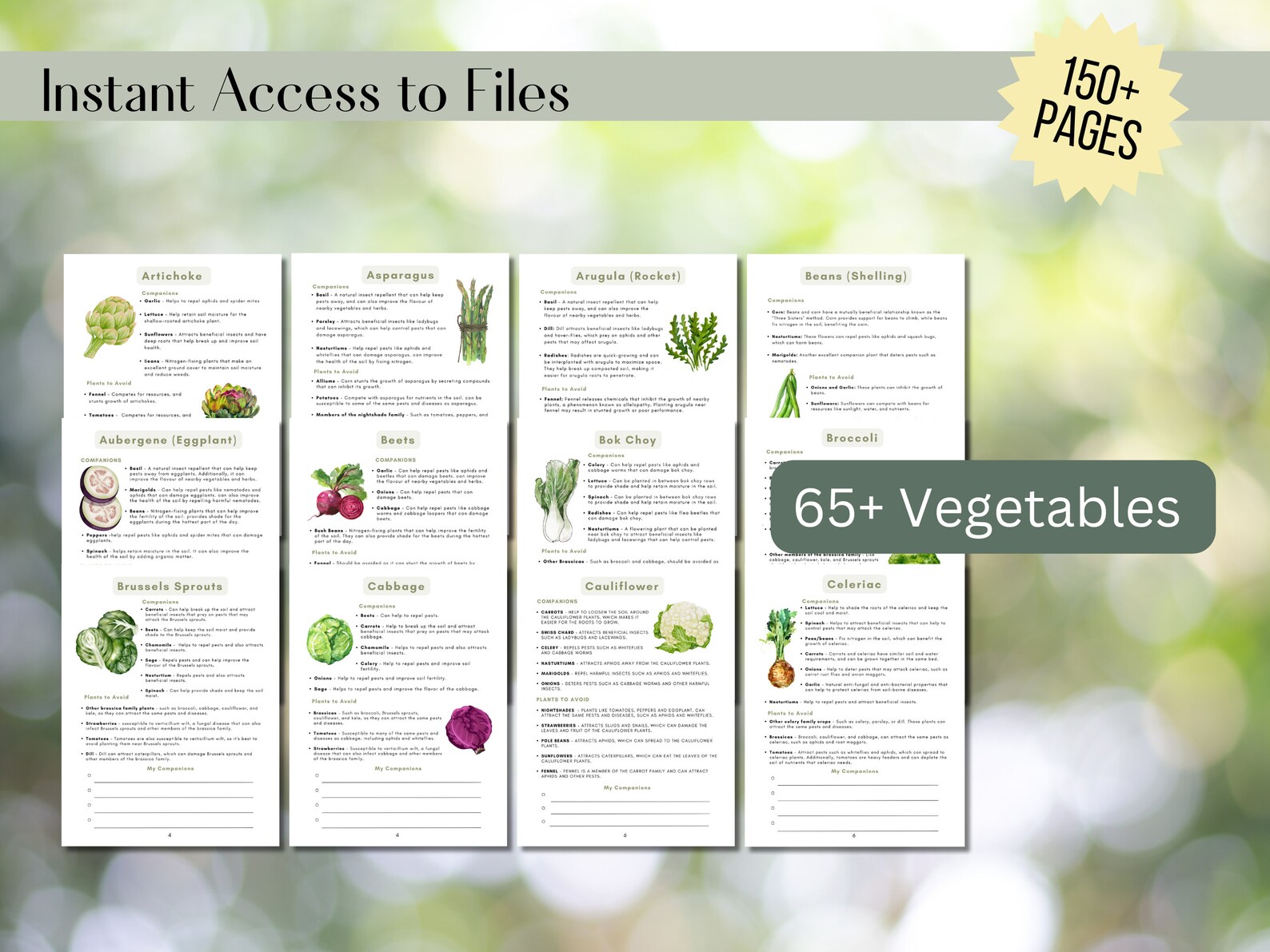 2024 Ultimate Companion Planting Guide New Garden Guide Gardener ...