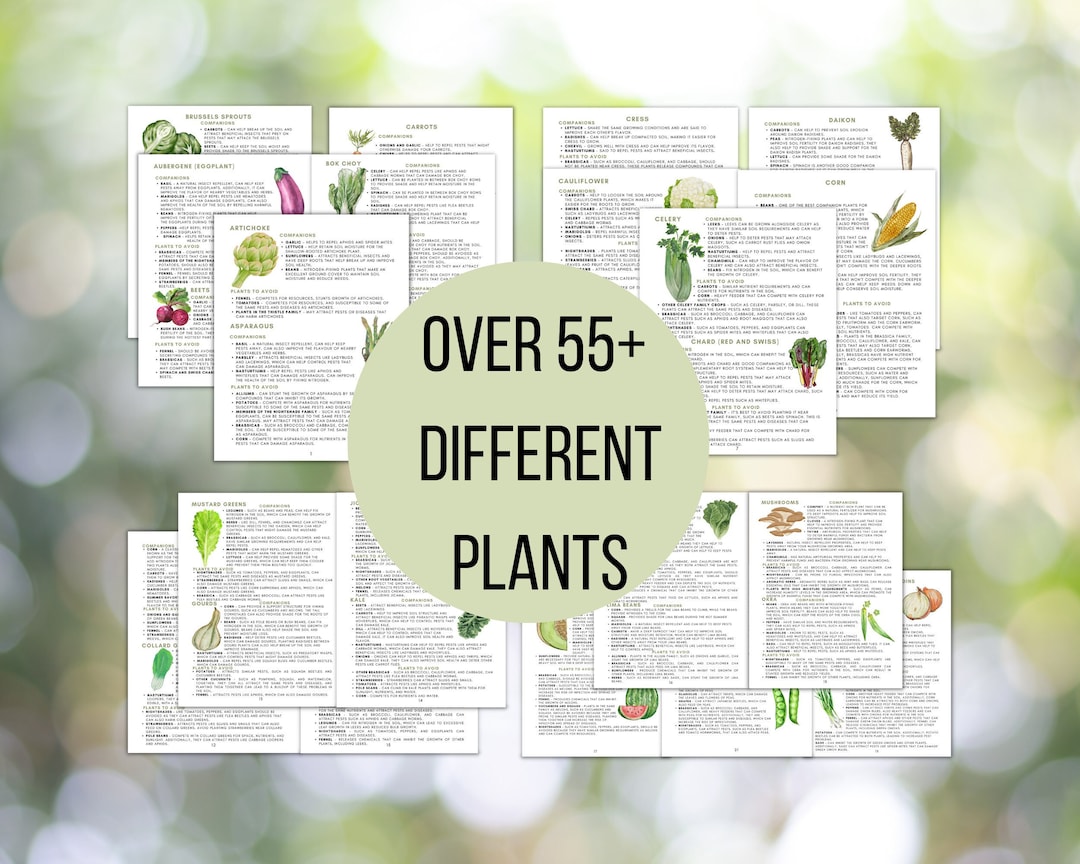 Companion Planting Guide Garden Planning Chart Companion Plants ...