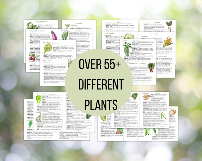 Companion Planting Guide Garden Planning Chart Companion Plants ...