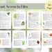 Companion Planting Guide Garden Planning Chart Companion Plants ...