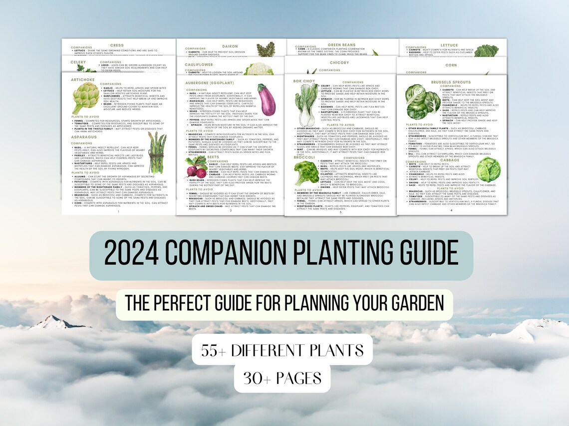 2024 Companion Planting Guide Garden Planning Chart Companion Plant ...