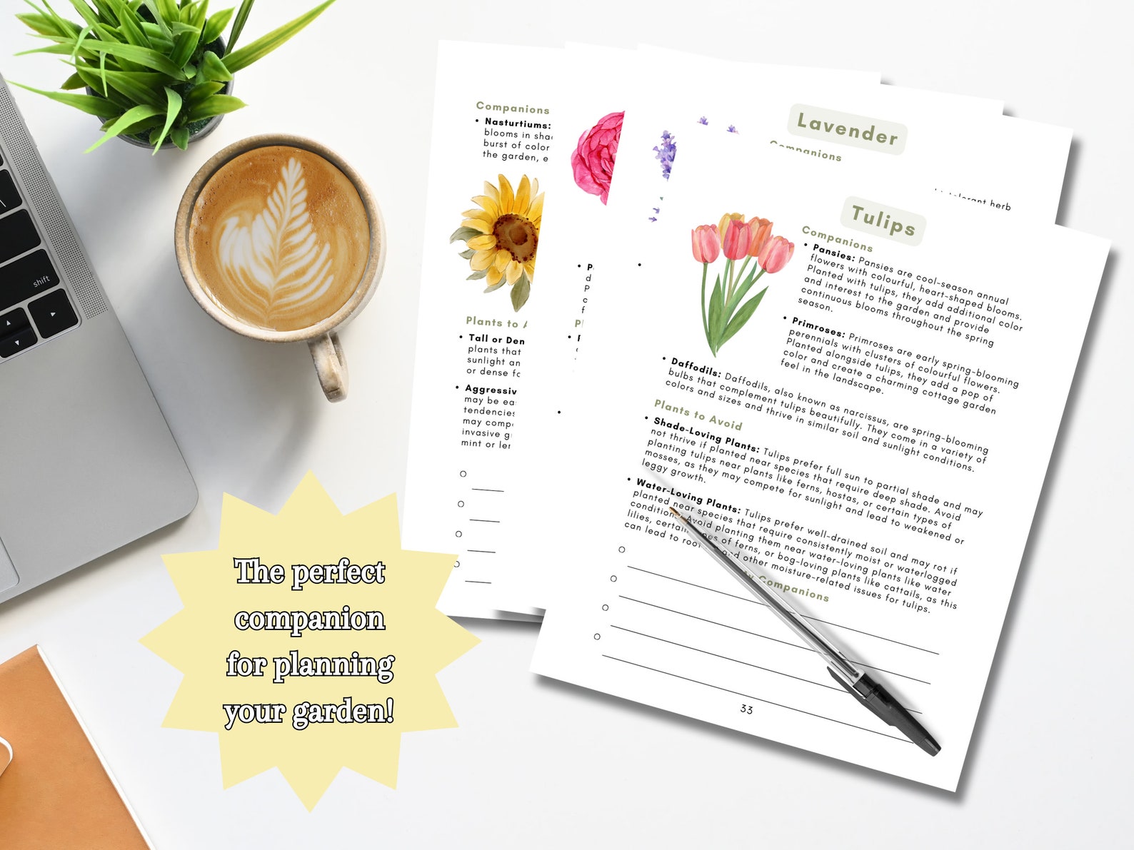 Complete 2024 Flower Companion Planting Guide New Gardener Cheatsheet ...