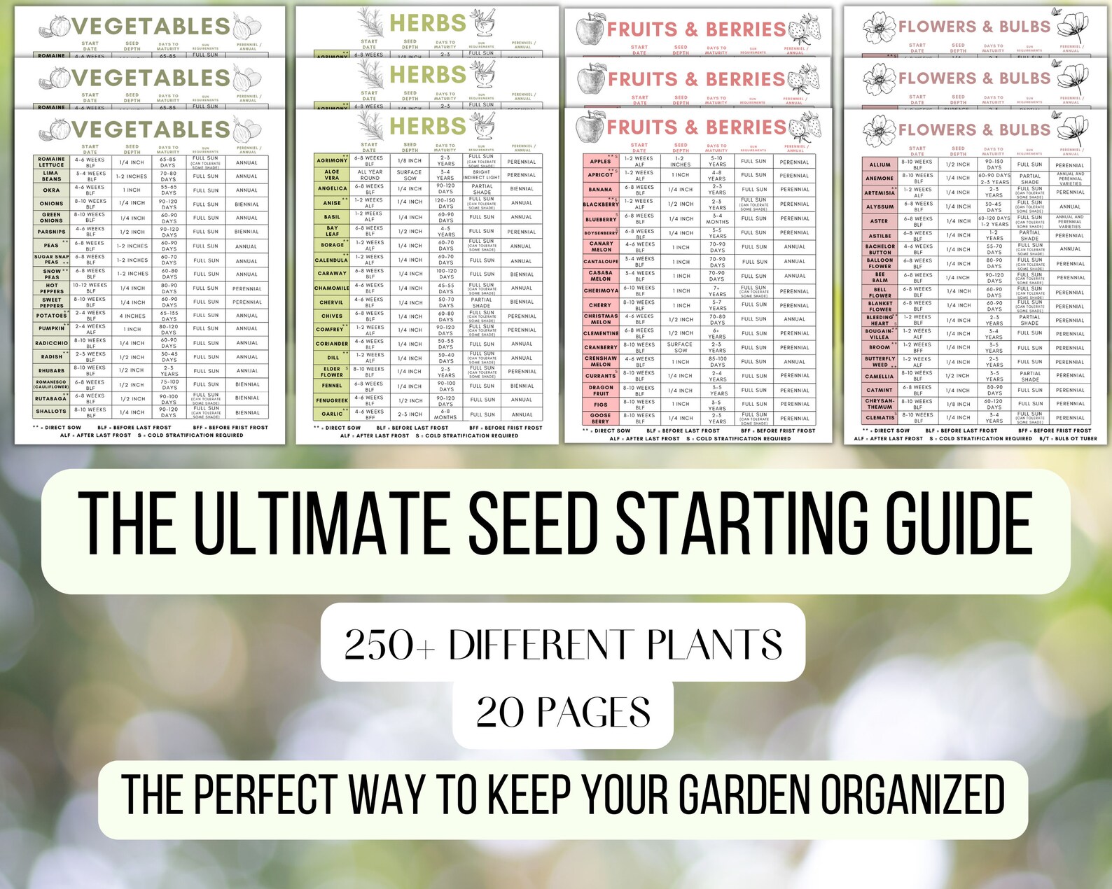 Complete Garden Seed Starting Cheat Sheet Homesteading Seed Sowing ...
