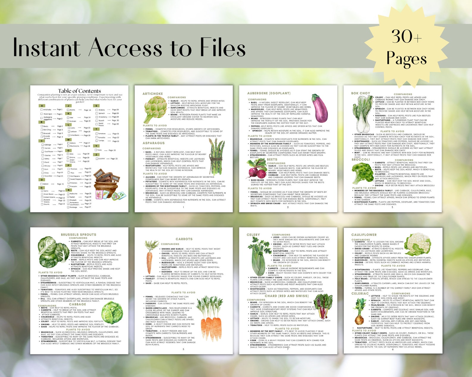 Companion Planting Guide Garden Planning Chart Companion Plants ...