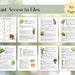 Companion Planting Guide Garden Planning Chart Companion Plants ...