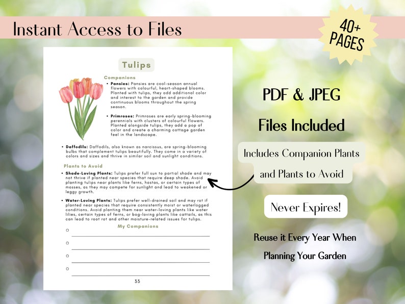 Complete 2024 Flower Companion Planting Guide New Gardener Cheatsheet ...