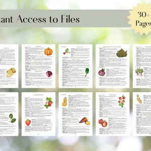 Companion Planting Guide Garden Planning Chart Companion Plants ...