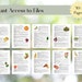 Companion Planting Guide Garden Planning Chart Companion Plants ...