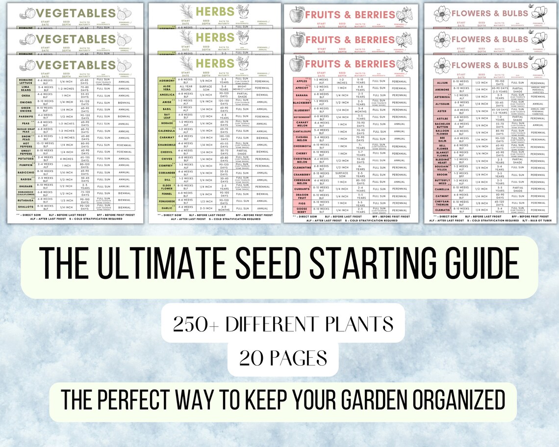Whole Garden Seed Starting Cheat Sheet Homesteading Seed - Etsy