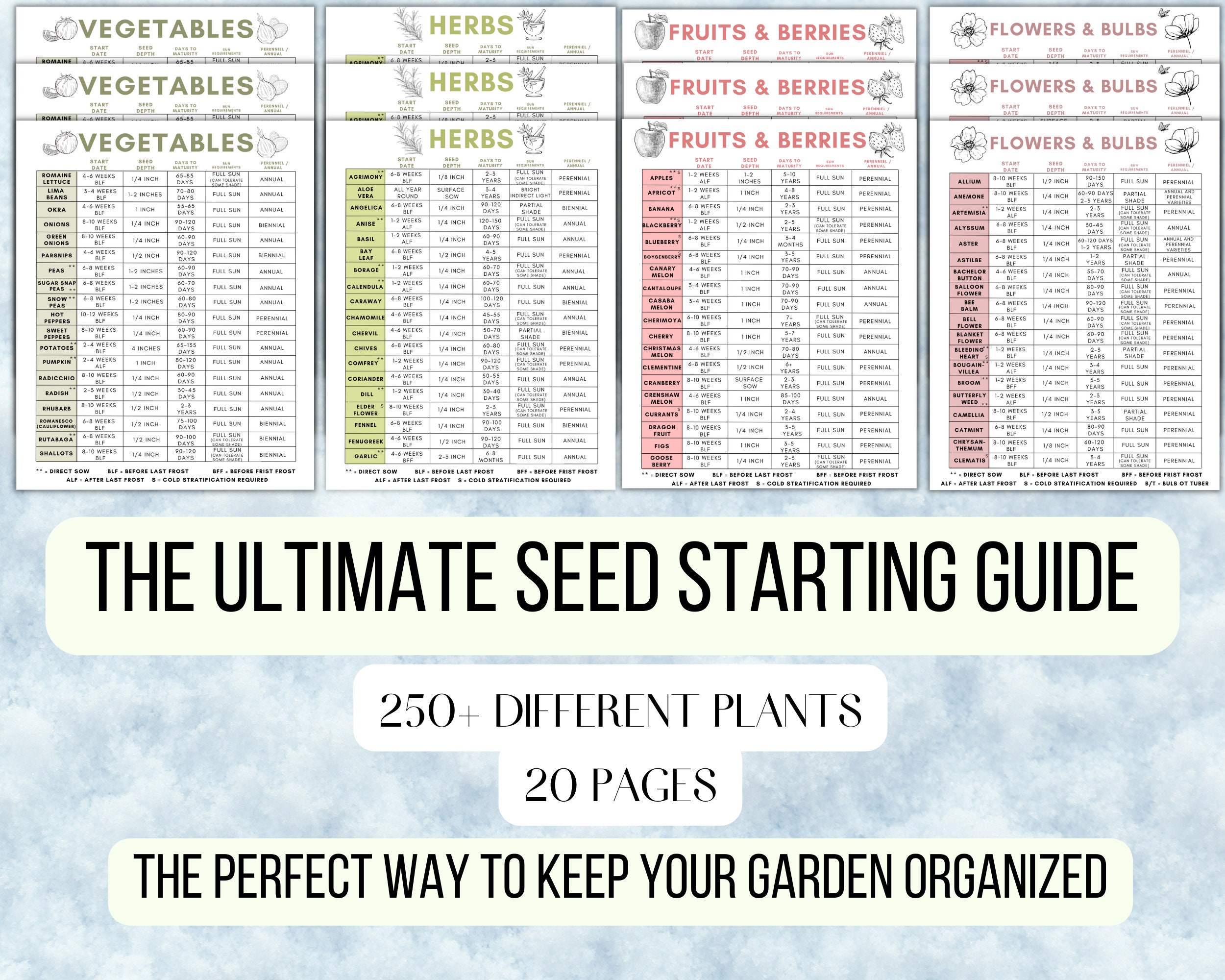 Whole Garden Seed Starting Cheat Sheet Homesteading Seed - Etsy