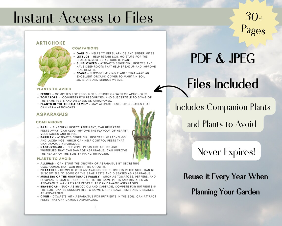 2024 Companion Planting Guide Garden Planning Chart Companion Plant ...