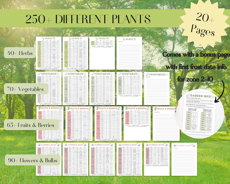 Complete Garden Seed Starting Cheat Sheet Homesteading Seed Sowing ...